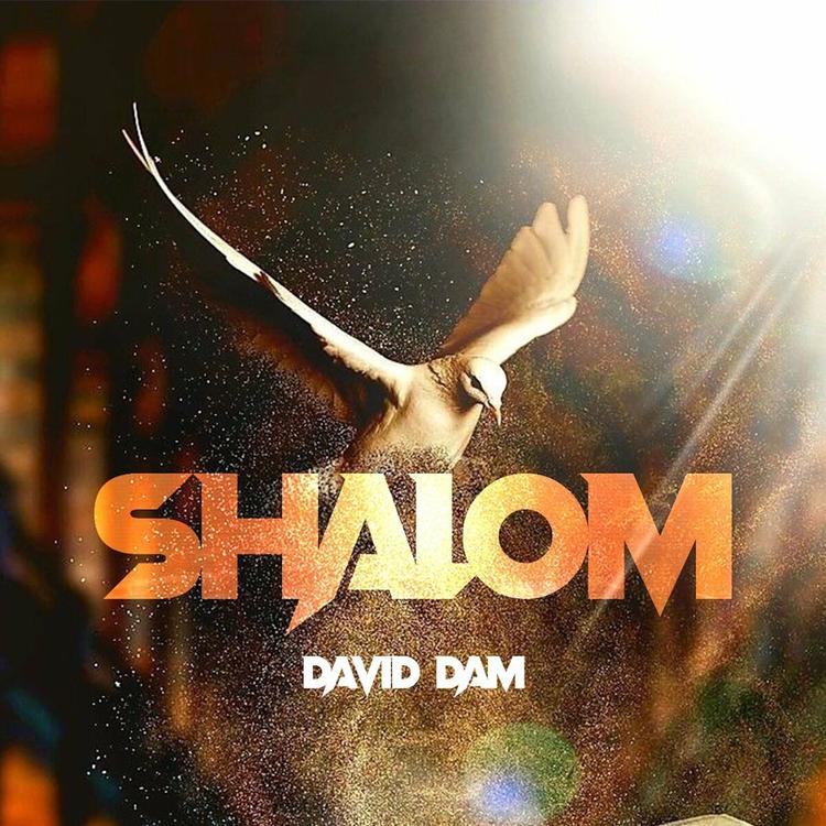 About David Dam and Discography | Josplay Music
